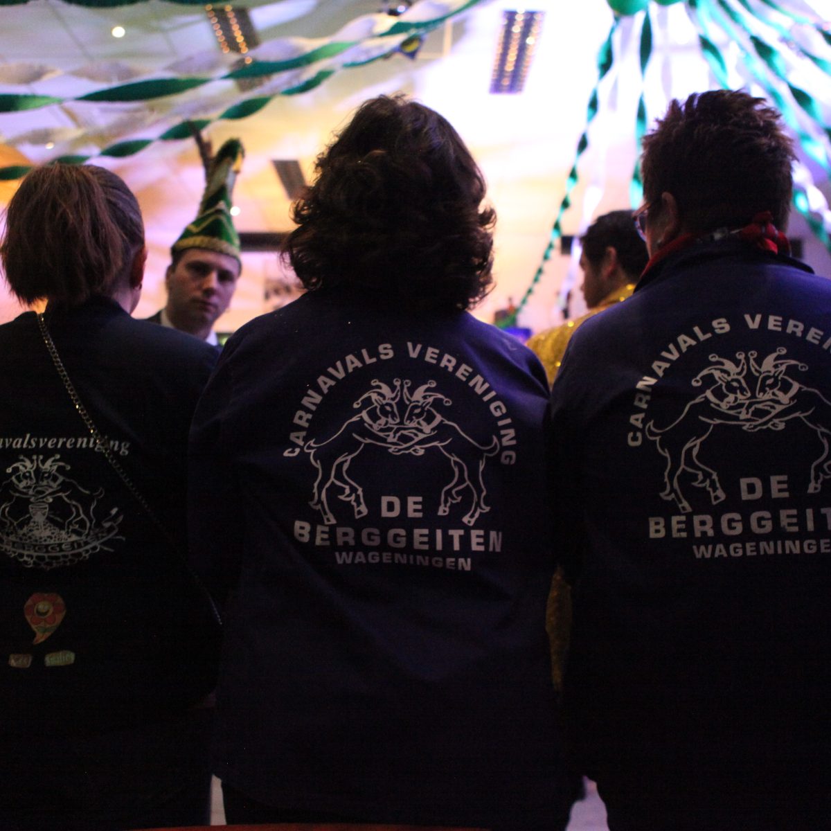 Home - CV de Berggeiten